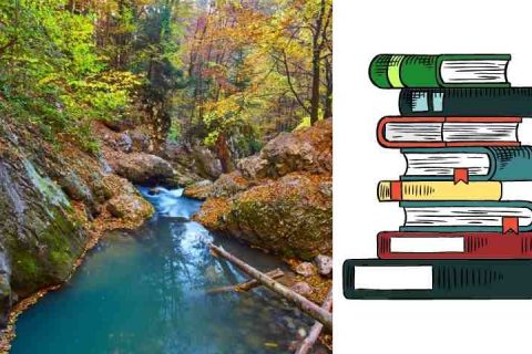 Books - ConstructionPlacements