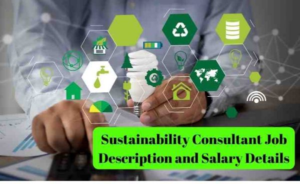 Sustainability Consultant Job Description and Salary Details